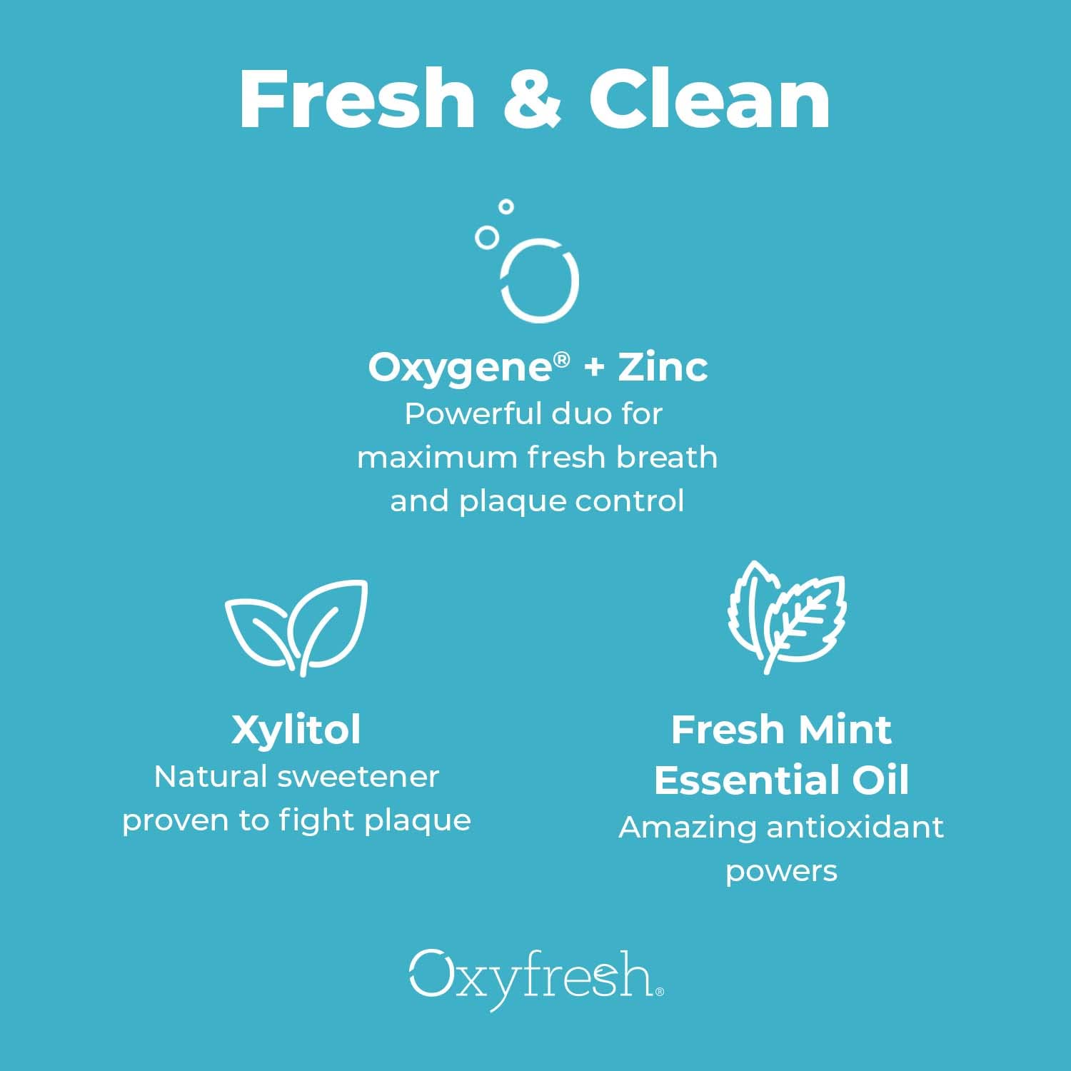 Premium Oxyfresh Pro Formula Fresh Mint Mouthwash – Patented Zinc Mouthwash for All Day Fresh Breath & Healthy Gums – Refreshing & Alcohol Free Mouthwash | 16oz