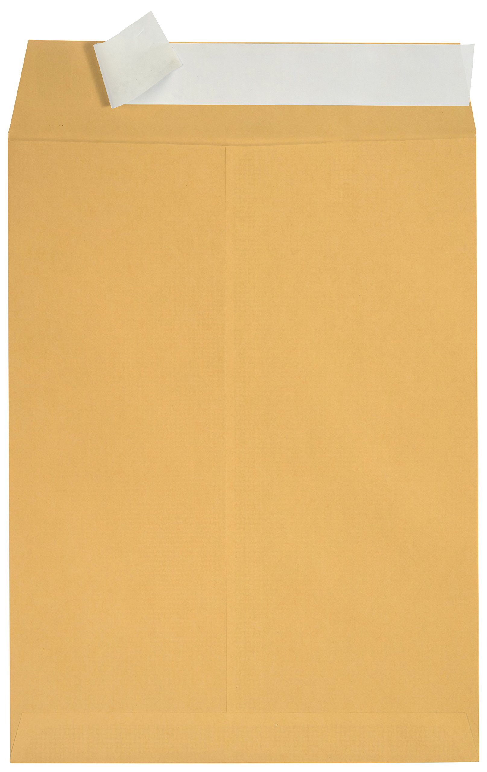 100 9 X 12 Self Seal Golden Brown Kraft Catalog Envelopes - Designed for Secure Mailing - Oversize Strong Peel and Seal Flap with 28 Pound Kraft Paper- 100 Envelopes