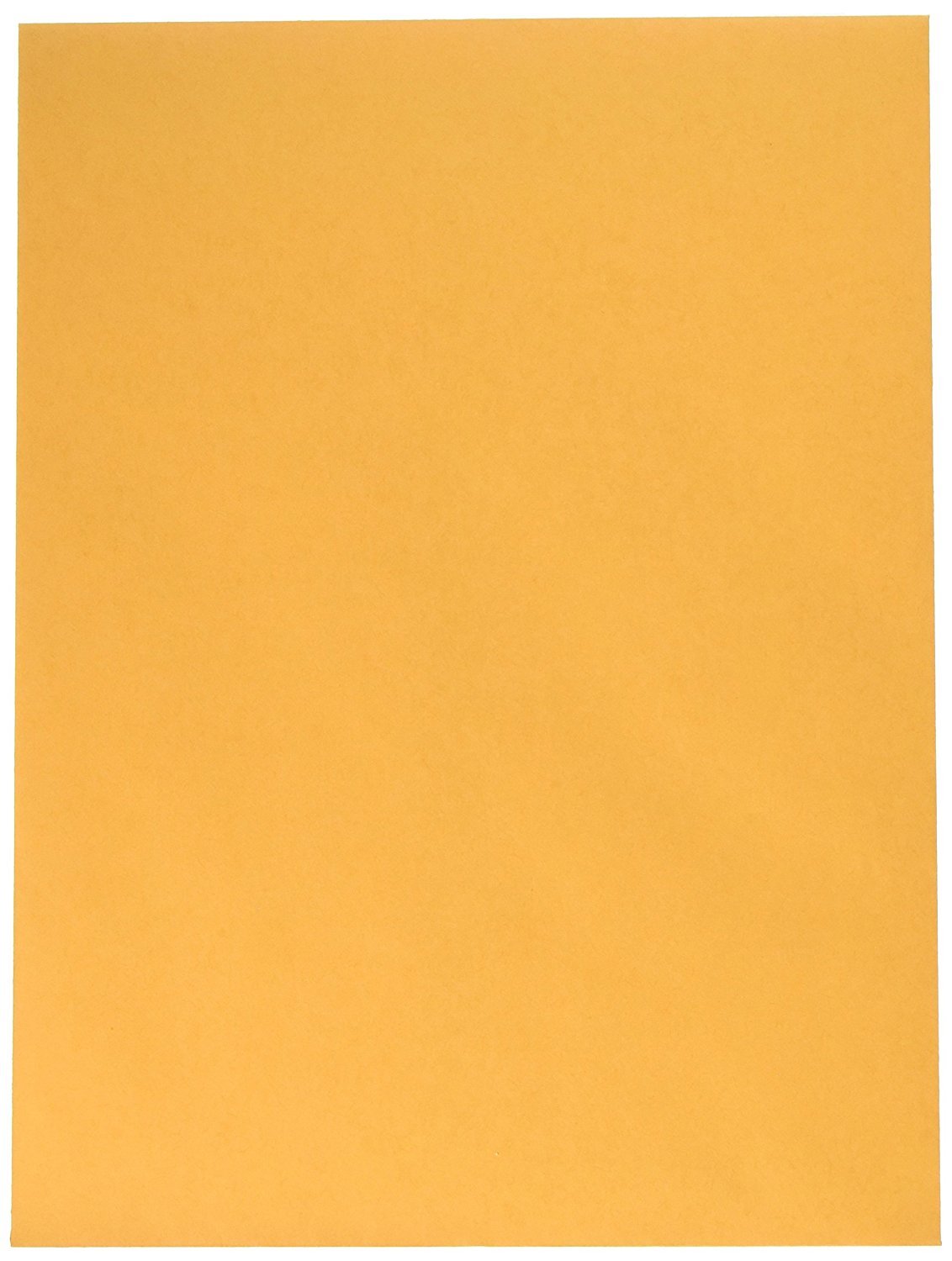 100 9 X 12 Self Seal Golden Brown Kraft Catalog Envelopes - Designed for Secure Mailing - Oversize Strong Peel and Seal Flap with 28 Pound Kraft Paper- 100 Envelopes