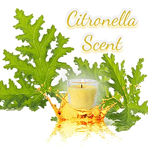 CandleNScent Citronella Scented Votive Candles in Glass | Up to 20 Hour Burn Time (Pack of 8)