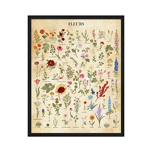 Botanical Wall Art Flower Poster - Set of 1 (11x14") Vintage Posters Wildflower Poster Botanical Poster, Vintage Wall Art Herb Poster Vintage Floral Prints For Wall Decor Flowers Wall Art - Unframed