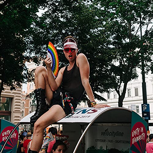 Renashed 6 Pack Pride Rainbow LGBT Fan Plastic Folding Fan Gay Pride LGBT Fans for EDM, Music Festival, Club, Event, Party, Dance, Performance, Gift