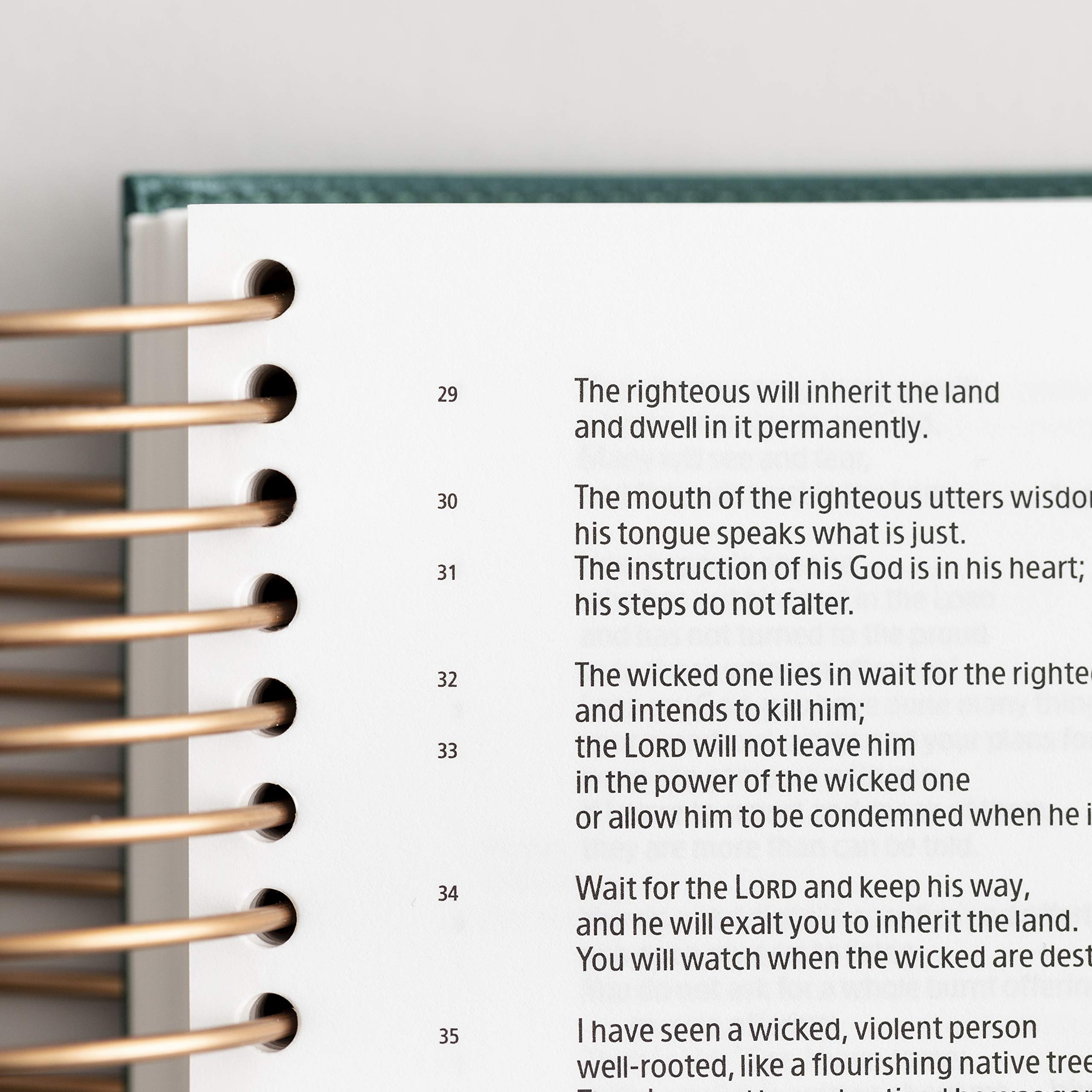 Illustrating Bible CSB Green (Spiral Bound Journaling Bible)