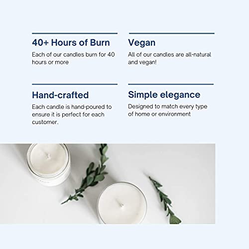 CE Craft - Smells Like Dylan O'Brien Scented Candle - Gift for Her, Girlfriend Gift, Celebrity Prayer Candle, Teen Wolf Gift