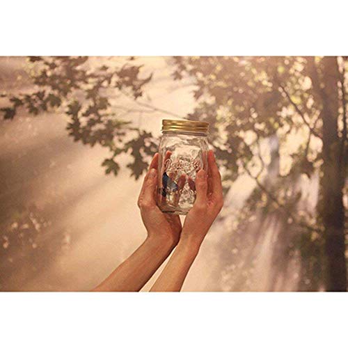 NC Butterfly in a Glass Jar, Hsxxf LED Lamp Jar Animated Butterfly in A Jar Tap to Activate Gift Decoration (Blue)