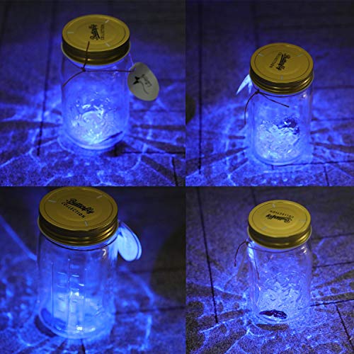 NC Butterfly in a Glass Jar, Hsxxf LED Lamp Jar Animated Butterfly in A Jar Tap to Activate Gift Decoration (Blue)