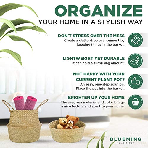 Blueming Home Decor Plant Basket β Large Seagrass Belly Basket Planter, Woven Rattan Wicker Plant Pot for Tall Indoor Plants with Handles, Round Decorative Boho Planters (Original, 10-11 Inch)