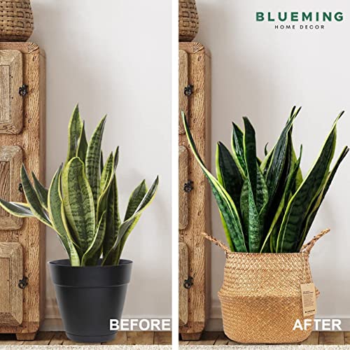 Blueming Home Decor Plant Basket β Large Seagrass Belly Basket Planter, Woven Rattan Wicker Plant Pot for Tall Indoor Plants with Handles, Round Decorative Boho Planters (Original, 10-11 Inch)