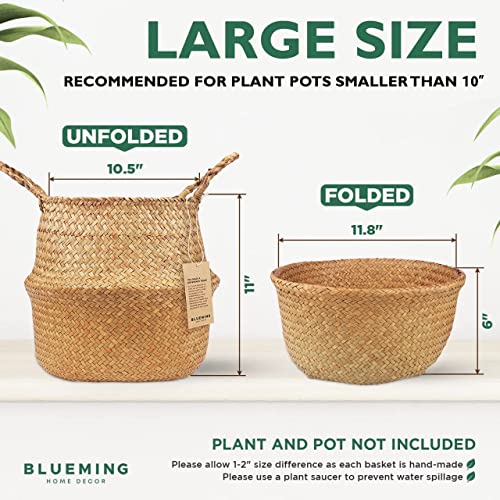 Blueming Home Decor Plant Basket β Large Seagrass Belly Basket Planter, Woven Rattan Wicker Plant Pot for Tall Indoor Plants with Handles, Round Decorative Boho Planters (Original, 10-11 Inch)