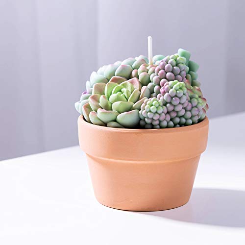 Assorted Succulent Pot Scented Candle for Spa Home Decoration Wedding Gift