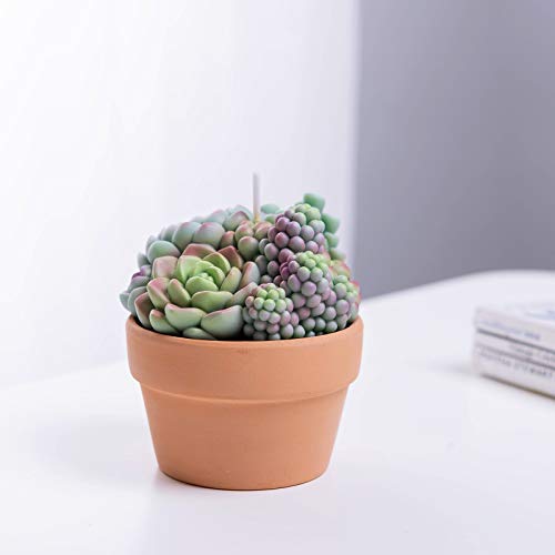 Assorted Succulent Pot Scented Candle for Spa Home Decoration Wedding Gift