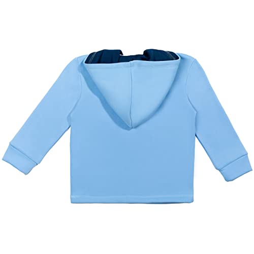 Bluey Toddler Boys Fleece Half Zip Hoodie 2T Blue