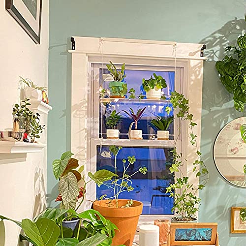 Pectt Two Tier Window Plant Shelf, Clear Hanging Wall Shelves with Rope, Plastic Storage Shelf Plant Display for Living Room Kitchen, Bathroom Over The Toilet Storage(210506SH01-1-10031-1717279601)