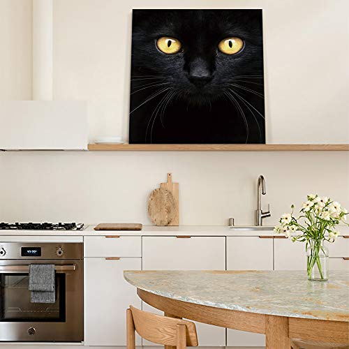HIYPLAY Canvas Wall Art Cue Black Cat in The Dark Picture Modern Artwork Printed on Canvas - Oil Painting for Wall Decor - Stretched and Framed Ready to Hang(12" x 12")