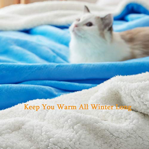SONORO KATE Sherpa Fleece Blanket Queen Size - Luxurious Double Reversible Super Soft Thick Fuzzy Plush,Warm Cozy Fluffy Couch Throw Velvet Queen Blanket for Bed(90"x90")