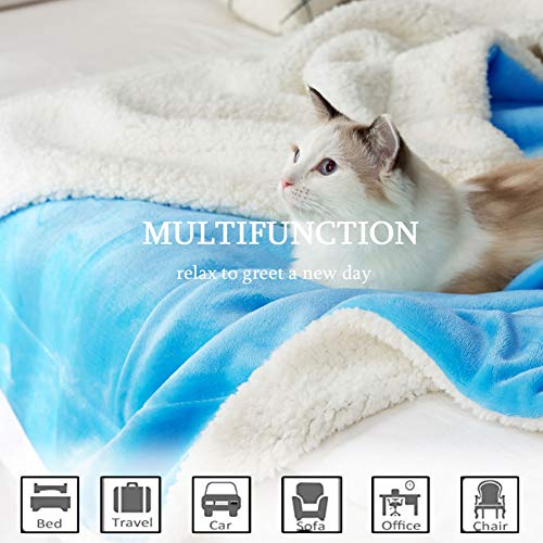 SONORO KATE Sherpa Fleece Blanket Queen Size - Luxurious Double Reversible Super Soft Thick Fuzzy Plush,Warm Cozy Fluffy Couch Throw Velvet Queen Blanket for Bed(90"x90")