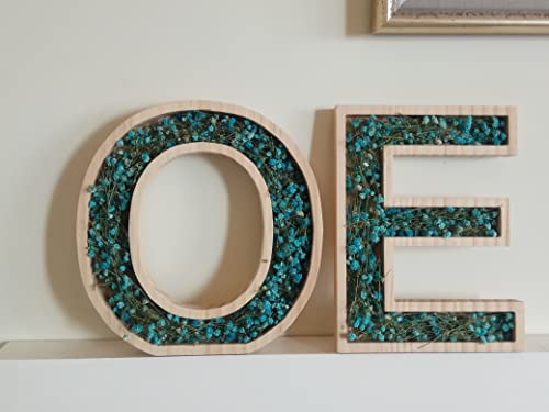 N/C Handmade Crafts fillable Letter Box E, fillable Shaped Letter