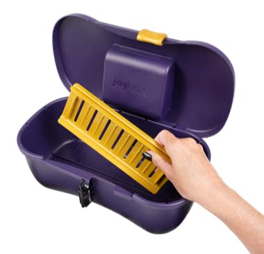 Joyboxx + Playtray Limited Edition Purple / Gold