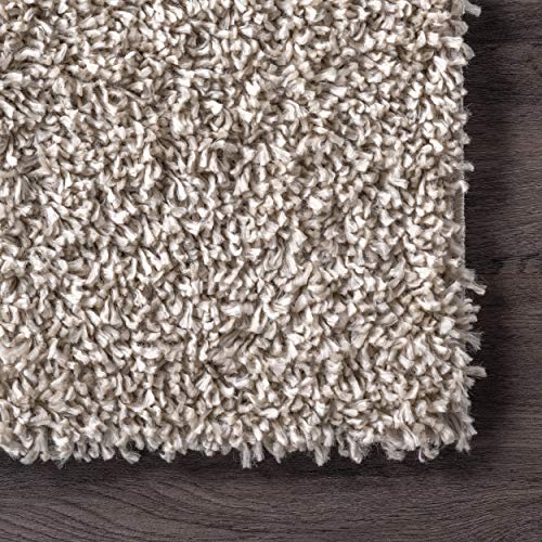 nuLOOM Belleza Shag Accent Rug, 2' x 3', Beige