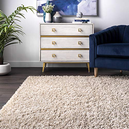 nuLOOM Belleza Shag Accent Rug, 2' x 3', Beige