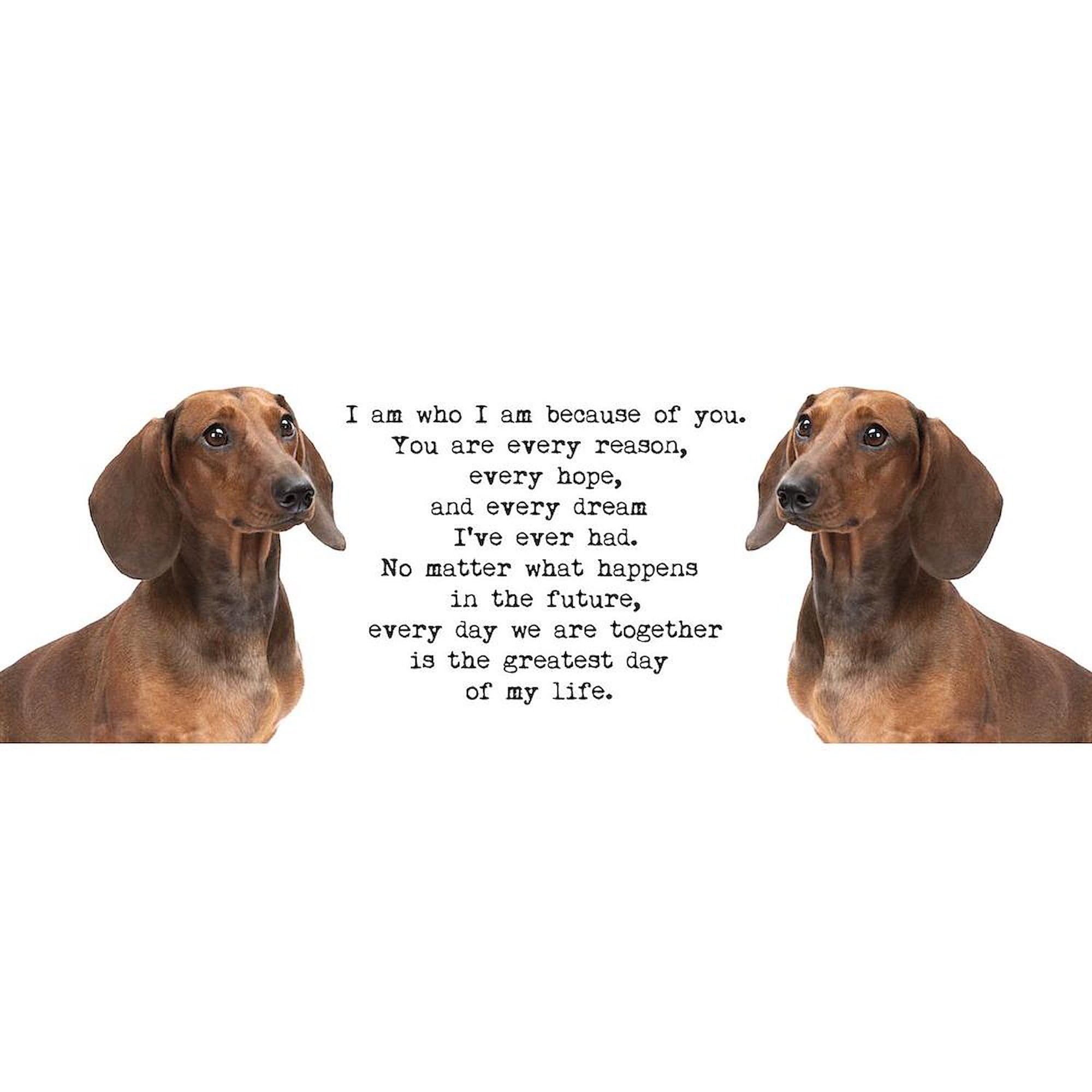 CafePress Dachshund Mugs Ceramic Coffee Mug, Tea Cup 11 oz