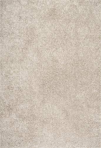nuLOOM Belleza Shag Accent Rug, 2' x 3', Beige