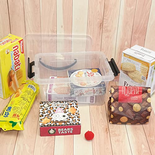 Ortodayes 6-Pack Small Clear Storage Boxes, Plastic Bin with Lid, 5.5 Liter