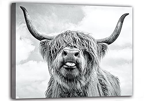 Highland Cow Canvas Print Black and White Highland Cow Wall Art Farmhouse Wall Decor Longhorn Highland Cattle Picture Stretched and Framed Ready to Hang for Living Room Bathroom Decor 12x16inch for fengyuyi