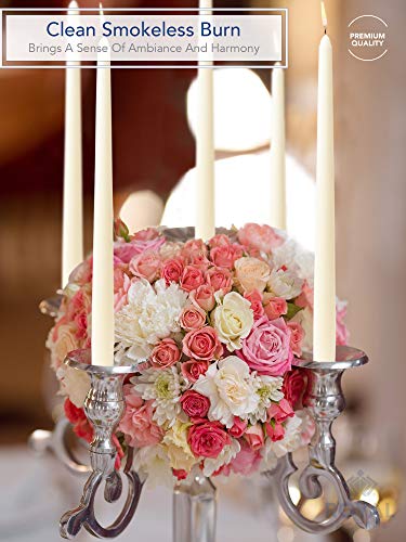 Royal Imports Unscented Taper Candles, Elegant Premium Quality, Dripless & Smokeless, Hand-Dipped Dinner Candles for Wedding, Holiday, Home Decor - 9 Hour Burn Time - Set of 12 (12 Inch, Ivory)