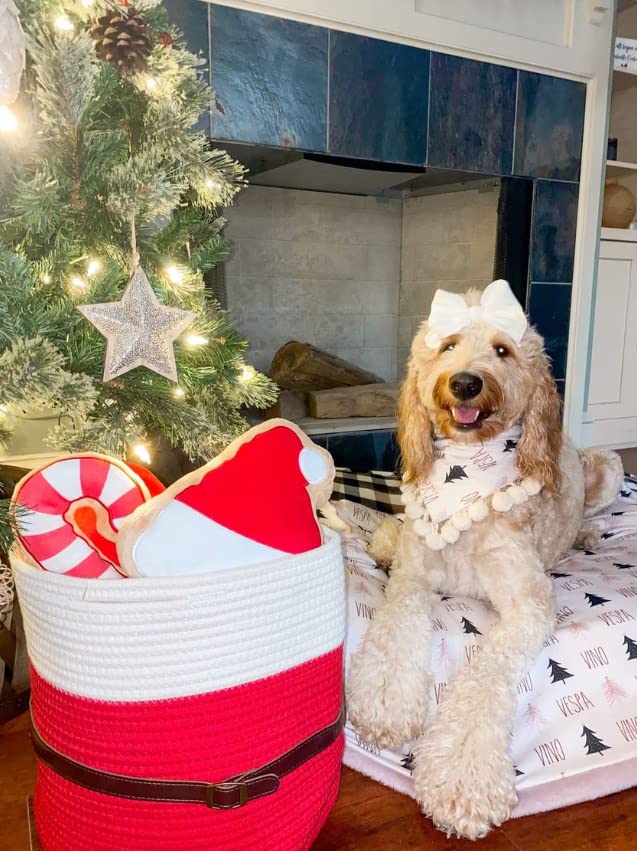 Christmas Santa Rope Basket (Small)