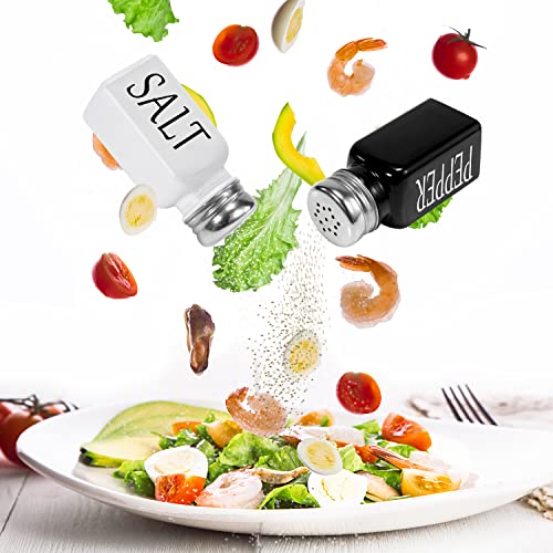 Salt and Pepper Shakers Set -DWTS DANWEITESI Cute Salt Shakers - Vintage Glass Black and White Shaker Set with Stainless Steel Lid - For Black and White Kitchen