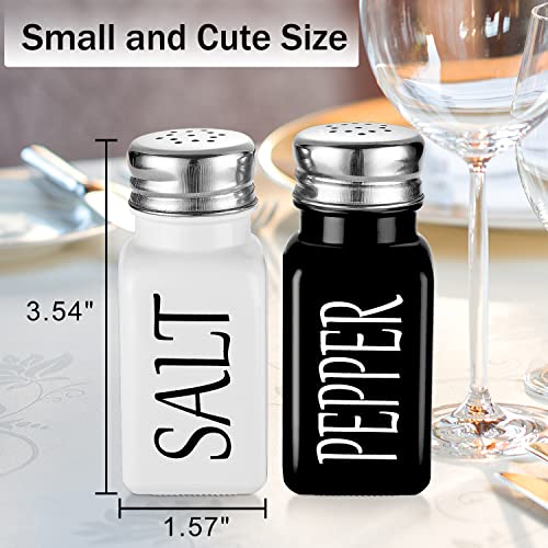 Salt and Pepper Shakers Set -DWTS DANWEITESI Cute Salt Shakers - Vintage Glass Black and White Shaker Set with Stainless Steel Lid - For Black and White Kitchen