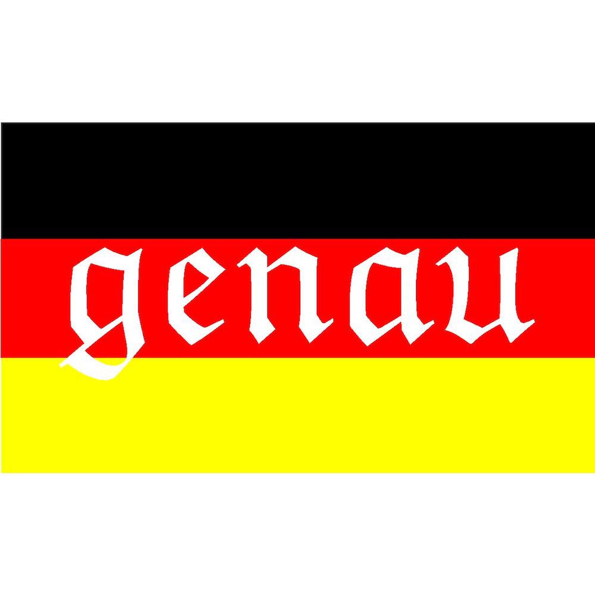 CafePress Genau German Flag Mug Ceramic Coffee Mug, Tea Cup 11 oz