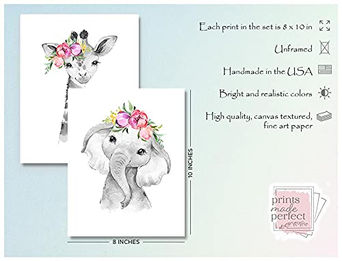 Safari Animals Wall Art Prints - Nursery Decor - Set of 4 - Zoo Animal Pictures - Unframed - (8x10)