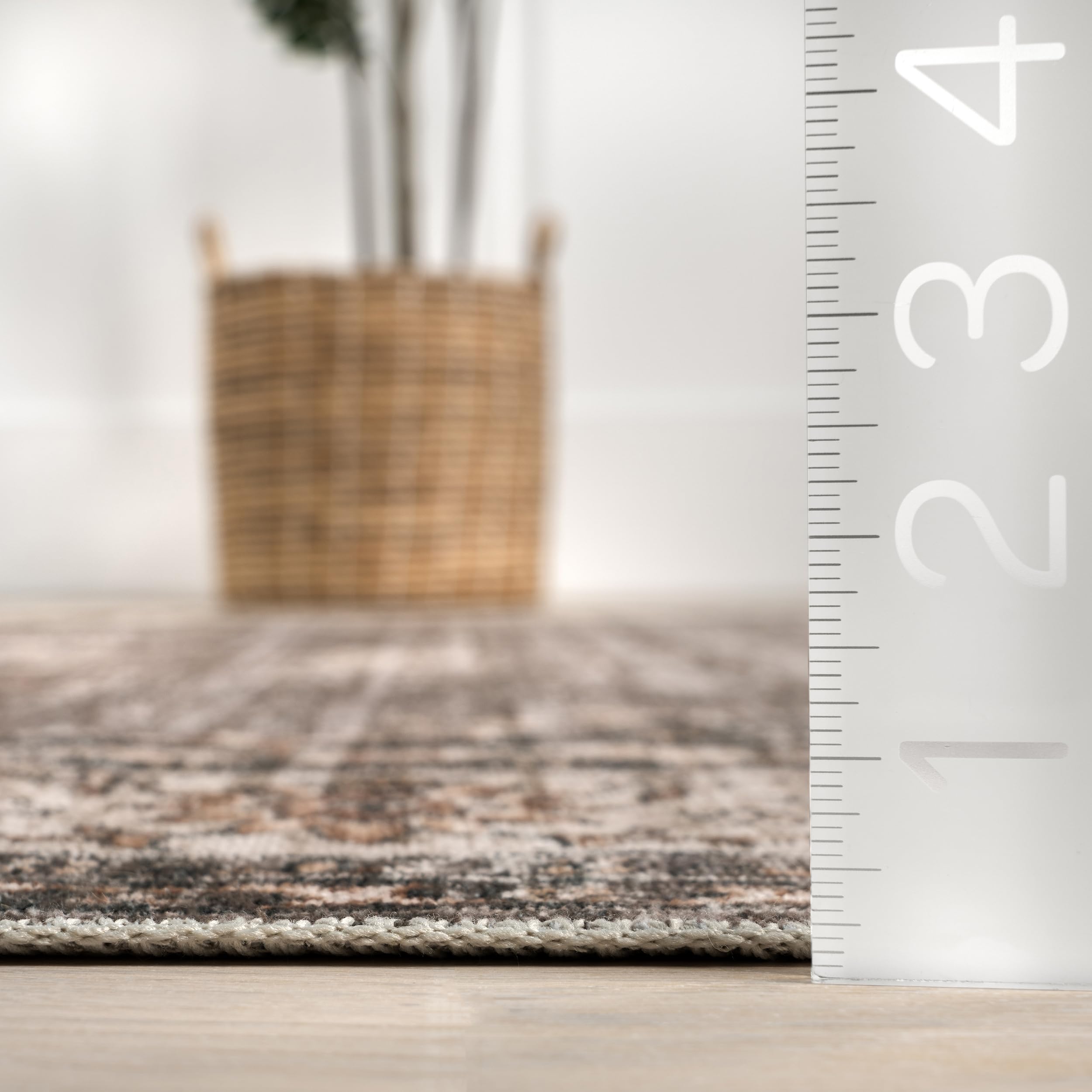 Rugs USA x Lauren Liess Rosewood Vintage Machine Washable Area Rug, 9x12, Brown