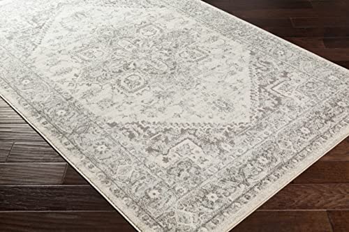 Hauteloom Rockfall Hallway, Kitchen Runner Rug - Traditional - Gray, Beige - 2'7" x 7'3"