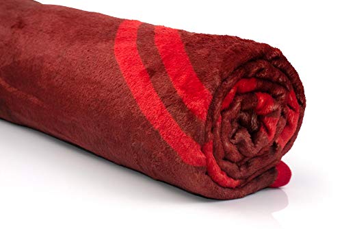JUST FUNKY The Elder Scrolls Skyrim Dark Brotherhood We Know Fleece Throw Blanket | Skyrim Soft Blankets and Throws | Official The Elder Scrolls Skyrim Throw Blankets | Measures 60 x 45 Inches