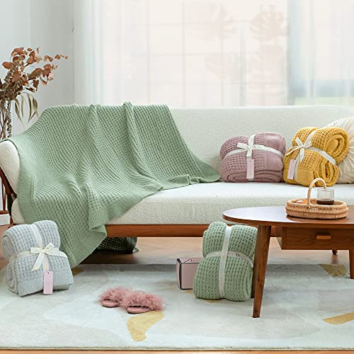 Amélie Home Soft Cozy Waffle Knit Throw Blanket with Ruffled Fringe, Decorative Lightweight Knitted Throw Blankets for Couch Bed Sofa (Misty Rose, 50'' x 60'')