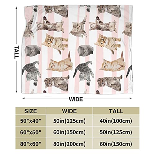 Docsckus Fuzzy Throw Blanket 350 GSM Fleece Ultra-Soft Microfiber Blanket for Adults Kids Gift Couch, Sofa, Bed Cute Cat 50"x40"