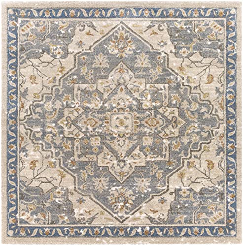 Hauteloom Chesnee Living Room, Bedroom Area Rug - Updated Traditional - High Pile - Blue, Yellow - 7'10"
