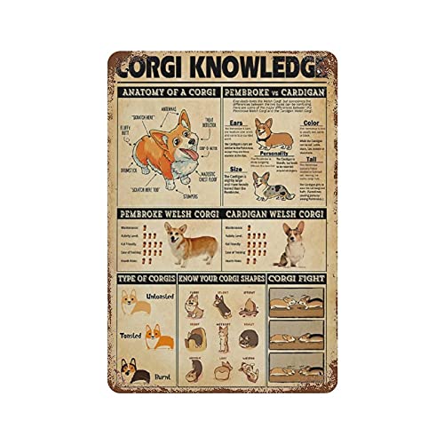 Dreacoss Retro Metal tin sign-Corgi Knowledge Tin Sign, Corgi Knowledge Poster, Funny Corgi Dog Home Decor, Corgi Lover Gift,Wall Decoration Plaques,Size 8x12 Inches