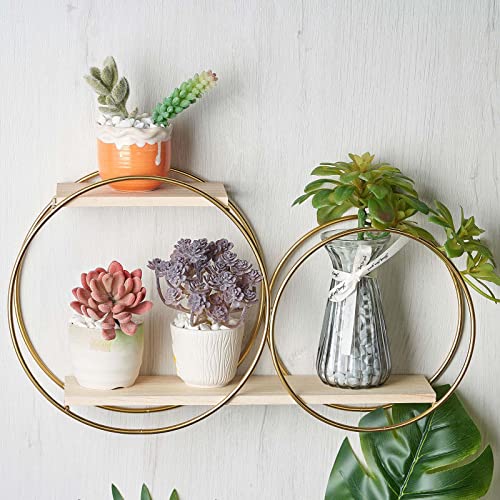 Efavormart 2-Tier Geometric Floating Shelf, Wall Hanging Shelves with Gold Double Hoop Design - 10" H x 18" L for Living Room, Bedroom, Kitchen, Bathroom, Study Room, Garden Sheds, Wall Decoration