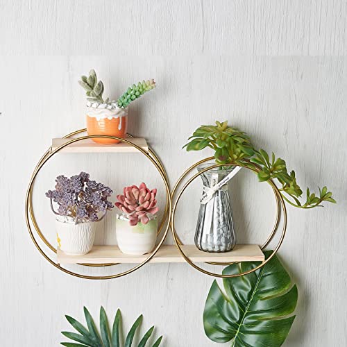 Efavormart 2-Tier Geometric Floating Shelf, Wall Hanging Shelves with Gold Double Hoop Design - 10" H x 18" L for Living Room, Bedroom, Kitchen, Bathroom, Study Room, Garden Sheds, Wall Decoration