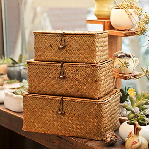 Handwoven Rattan Storage Basket,3pcs seagrass storage baskets Straw Seaweed Basket with Lid for Makeup, Clothes and Home hyacinth baskets Items woven seagrass basket