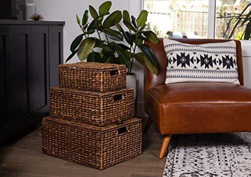 BIRDROCK HOME Seagrass Floor Baskets with Lids - Set of 3 - Brown Wash - Hand Woven Container for Blankets Pillows - Sturdy Metal Frame - Organization - Storage