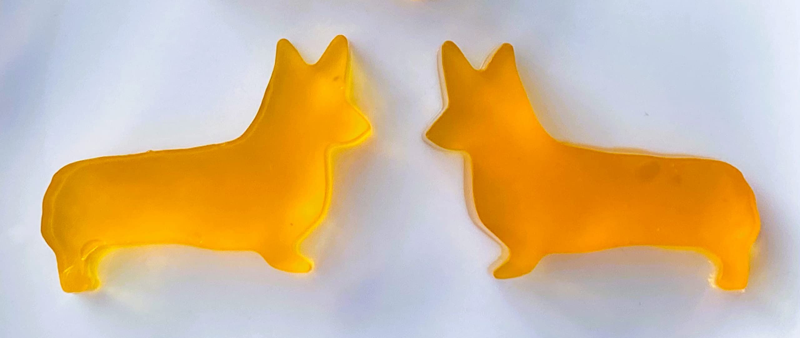Kasian House Corgi Silicone Ice Cube Tray and Treat Mold, 9 Welsh Corgi Shaped Molds, BPA Free and Heat Resistant, Chocolate Mold