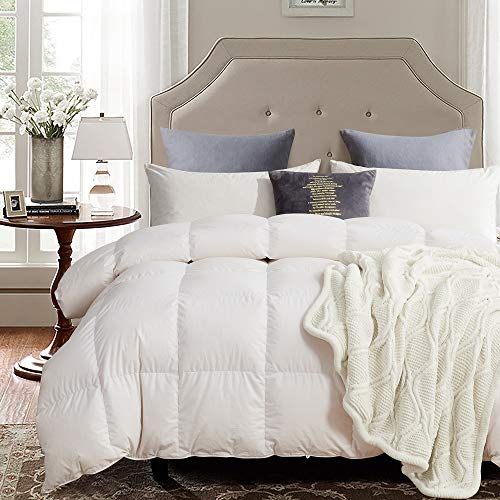 Longhui bedding Ivory White Chenille Cable Knit Sherpa Throw Blanket β Thick, Soft, Big, Cozy Ivory White Knitted Fleece Blankets for Couch, Sofa, Bed β Large 60 x 80 Inches Coverlet All Season