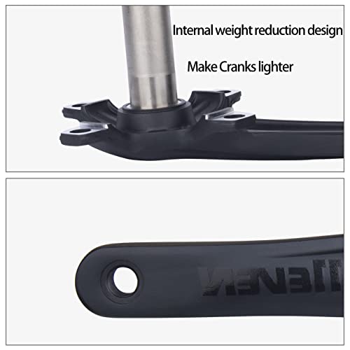 VIARON 170mm Bike Crankset 32T/34T/36T Hollow Integrated 104BCD Single Speed Round Chainring Crankset with Bottom Bracket (34T)