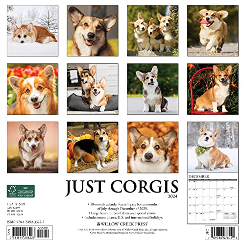 Willow Creek Press Corgis Monthly 2024 Wall Calendar (12" x 12")