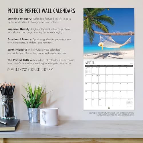 Willow Creek Press Corgis Monthly 2024 Wall Calendar (12" x 12")